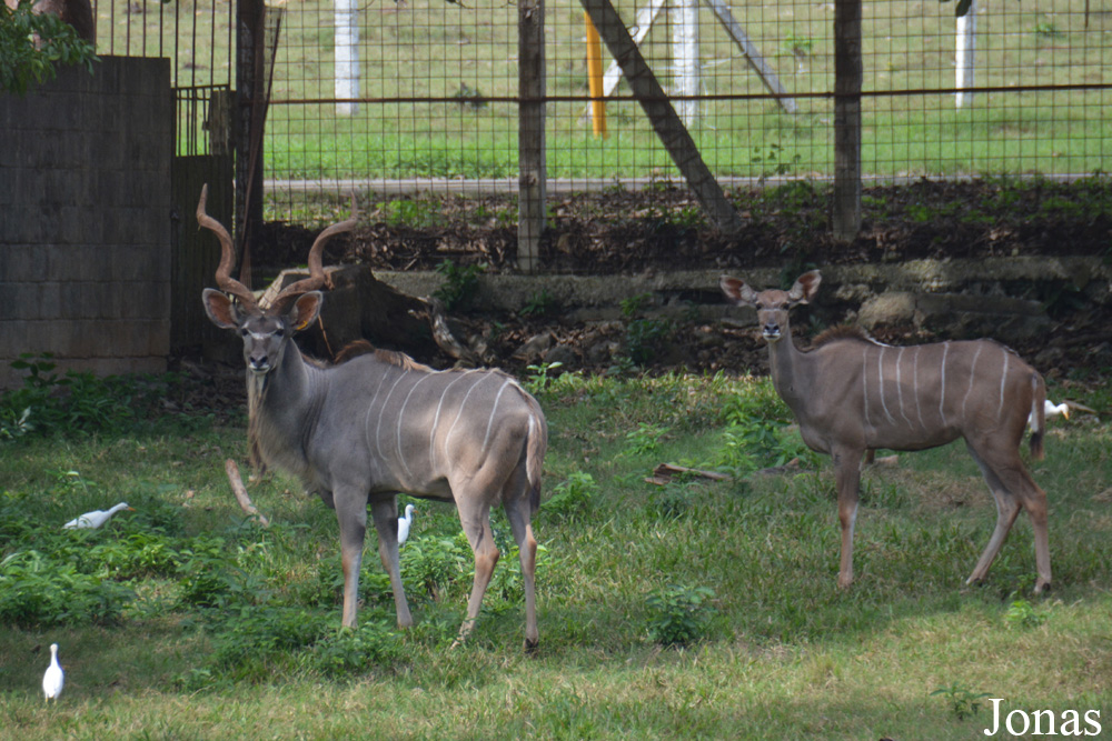 Parque Zoológico Nacional de Cuba