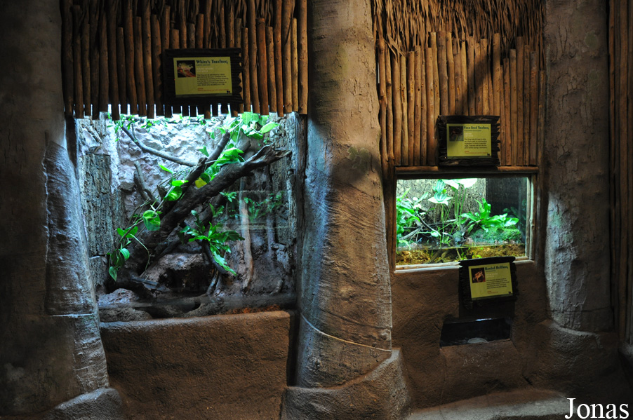Les Zoos dans le Monde - Singapore Zoo